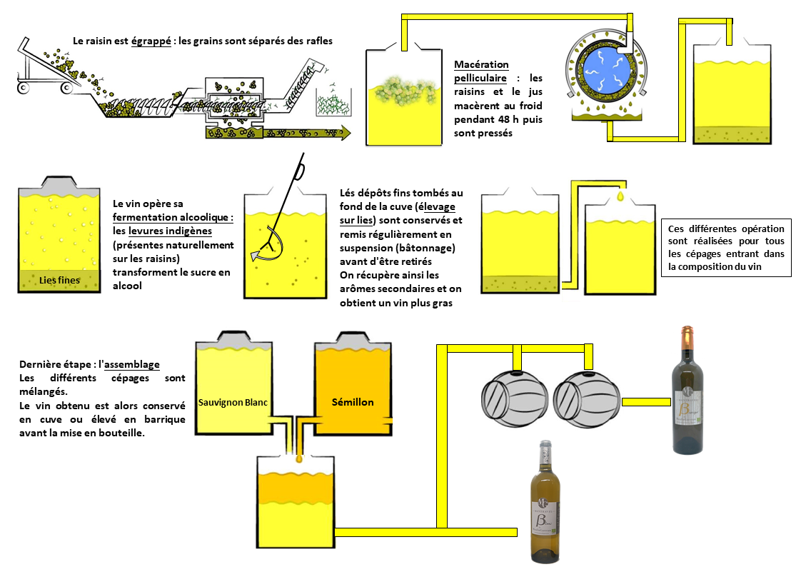 Domaine Moulin Garreau, exploitation de vins biologiques en Montravel et Bergerac